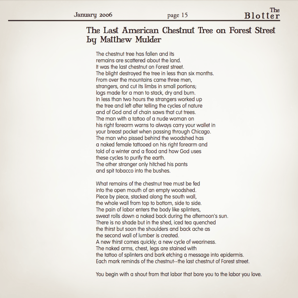 Poem One: The Last American Chestnut Tree on Forest Street ...